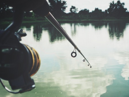 Fall Fishing: How to Locate Fish During Seasonal Transitions - Go Fish Now